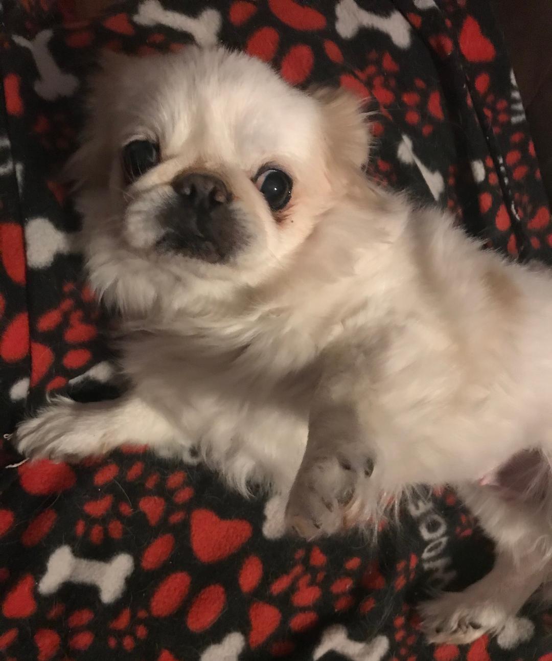 Home - Foster Friday Foundation